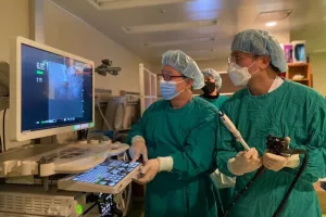 WEO International School of EUS (WISE) | World Endoscopy Organization