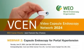 WEO e.V. | World Endoscopy Organization