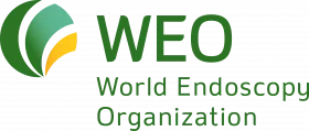WEO e.V. | World Endoscopy Organization